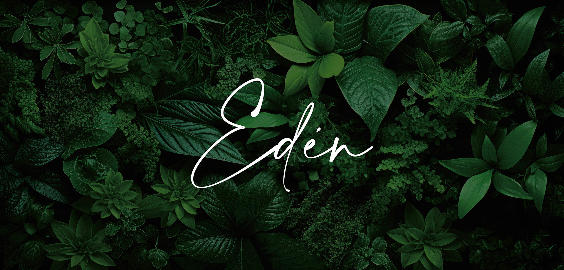 EDÉN COLLECTION – BLESS